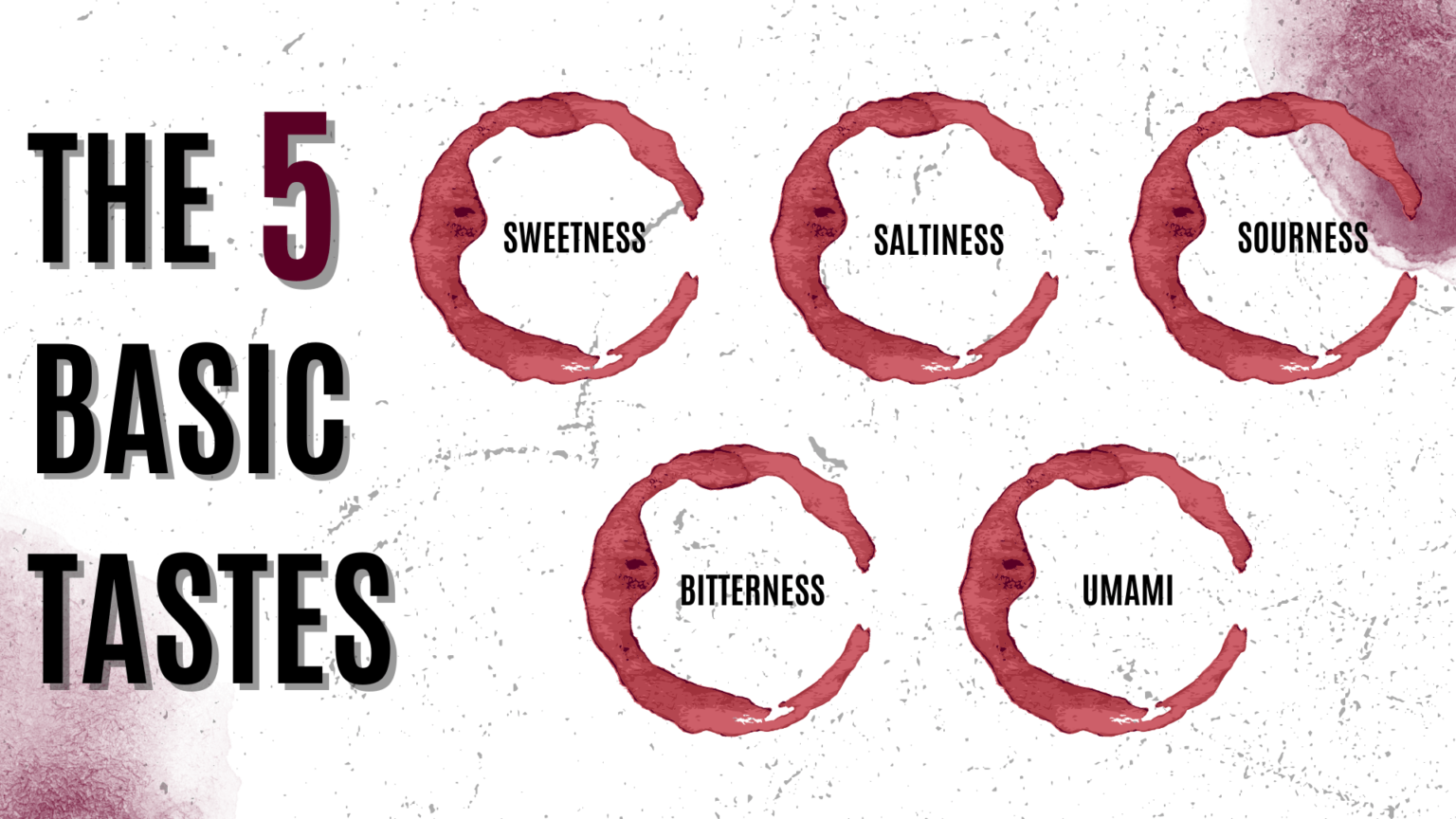 Elevate Your Pairings: Understanding Food Flavor Profiles for Wine