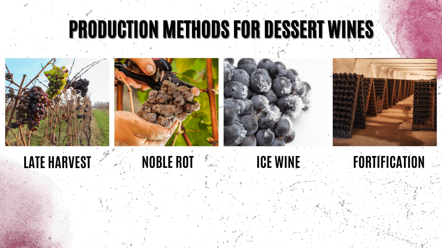 Ultimate Guide to Dessert Wine for Enthusiasts | Wine Club