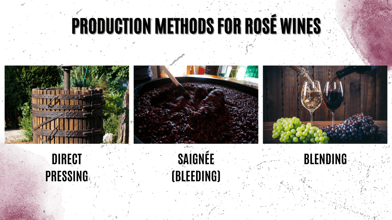 Ultimate Guide to Rosé Wine for Enthusiasts | Wine Club
