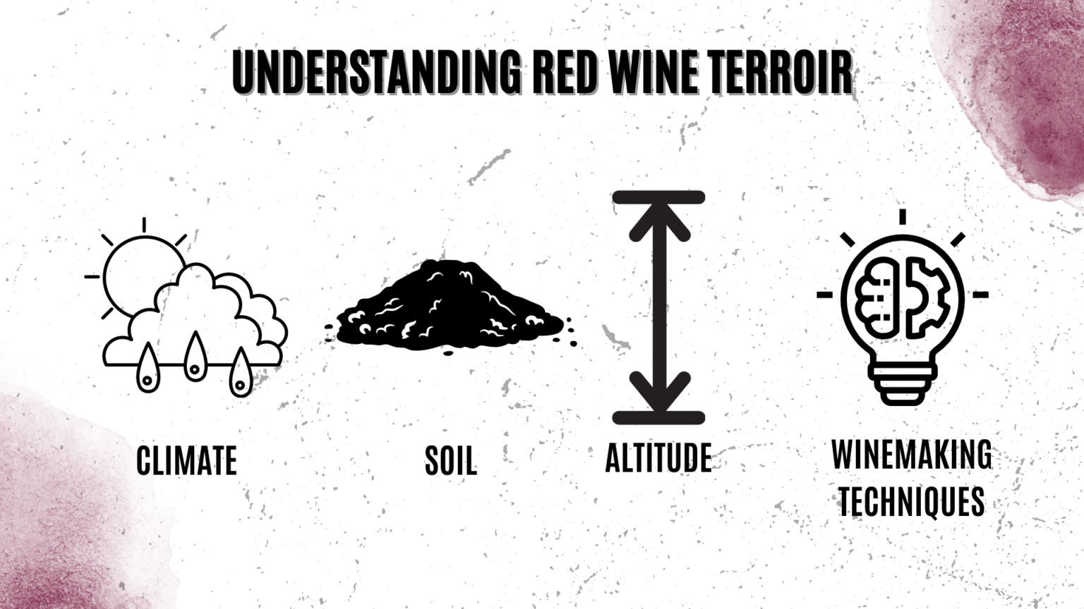 Ultimate Guide to Red Wine for Enthusiasts | Wine Club