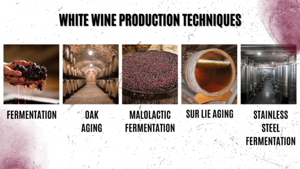 Ultimate Guide to White Wine for Enthusiasts | Wine Club