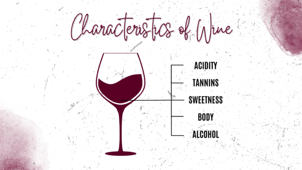 Explore Wine Flavors: Ultimate Guide to Wine Flavor Profiles